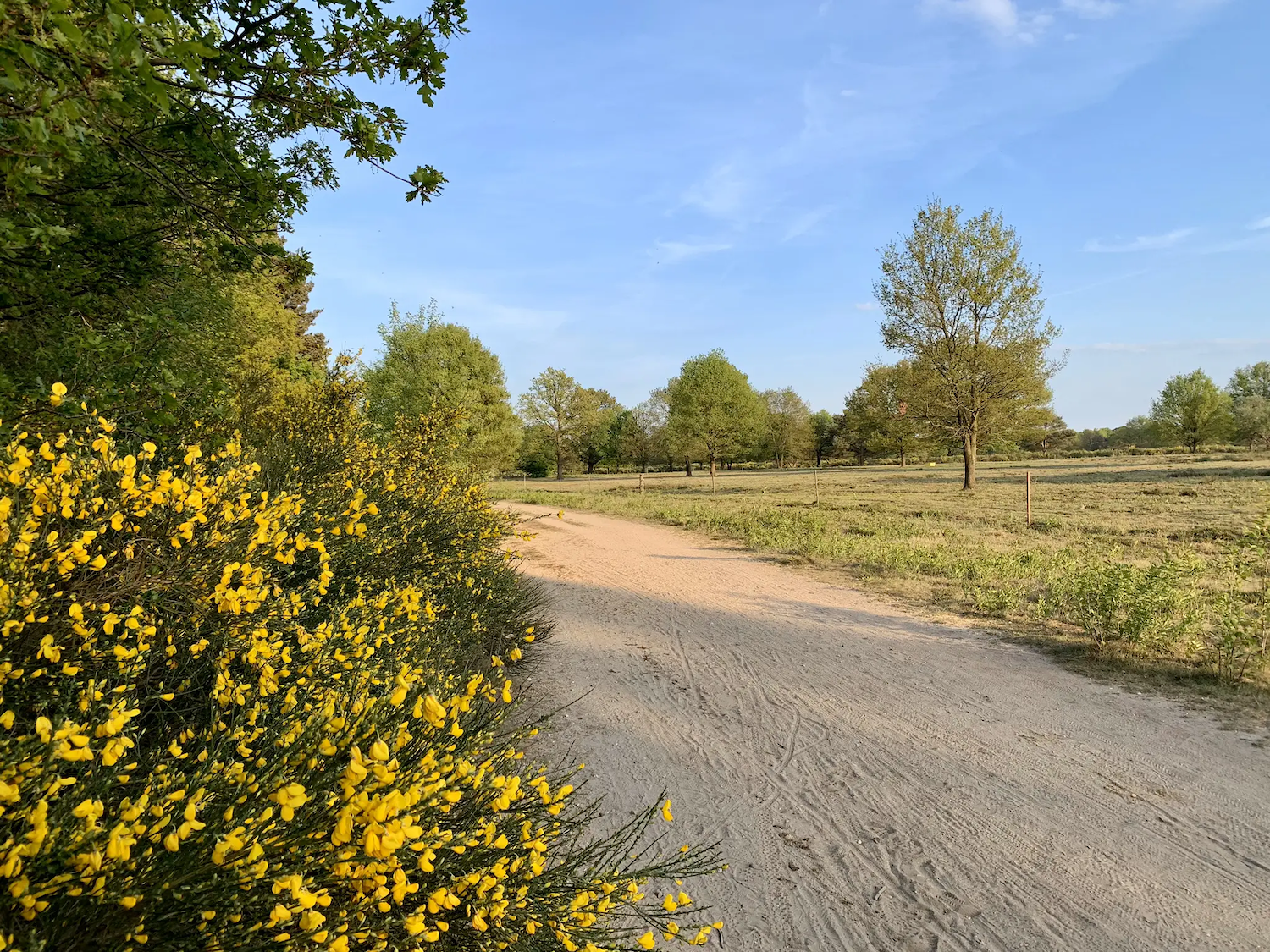 Meine top 7 Strecken zum Wandern in und rund um Köln